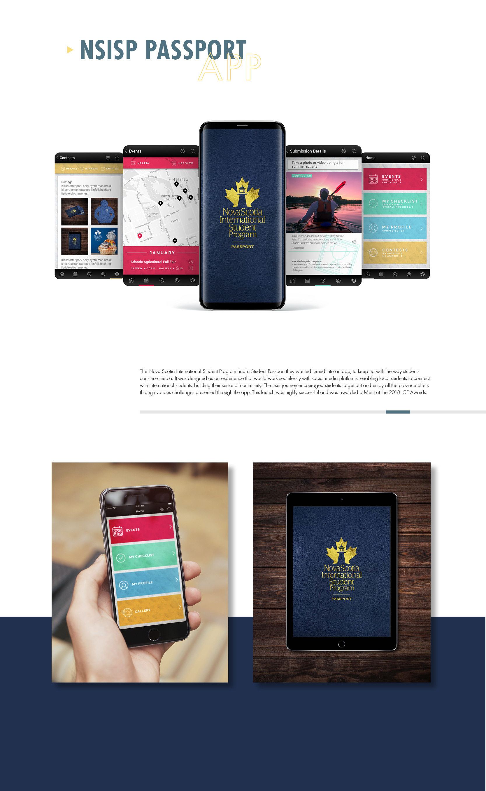 Andy Longaphy - NSISP Passport App Design