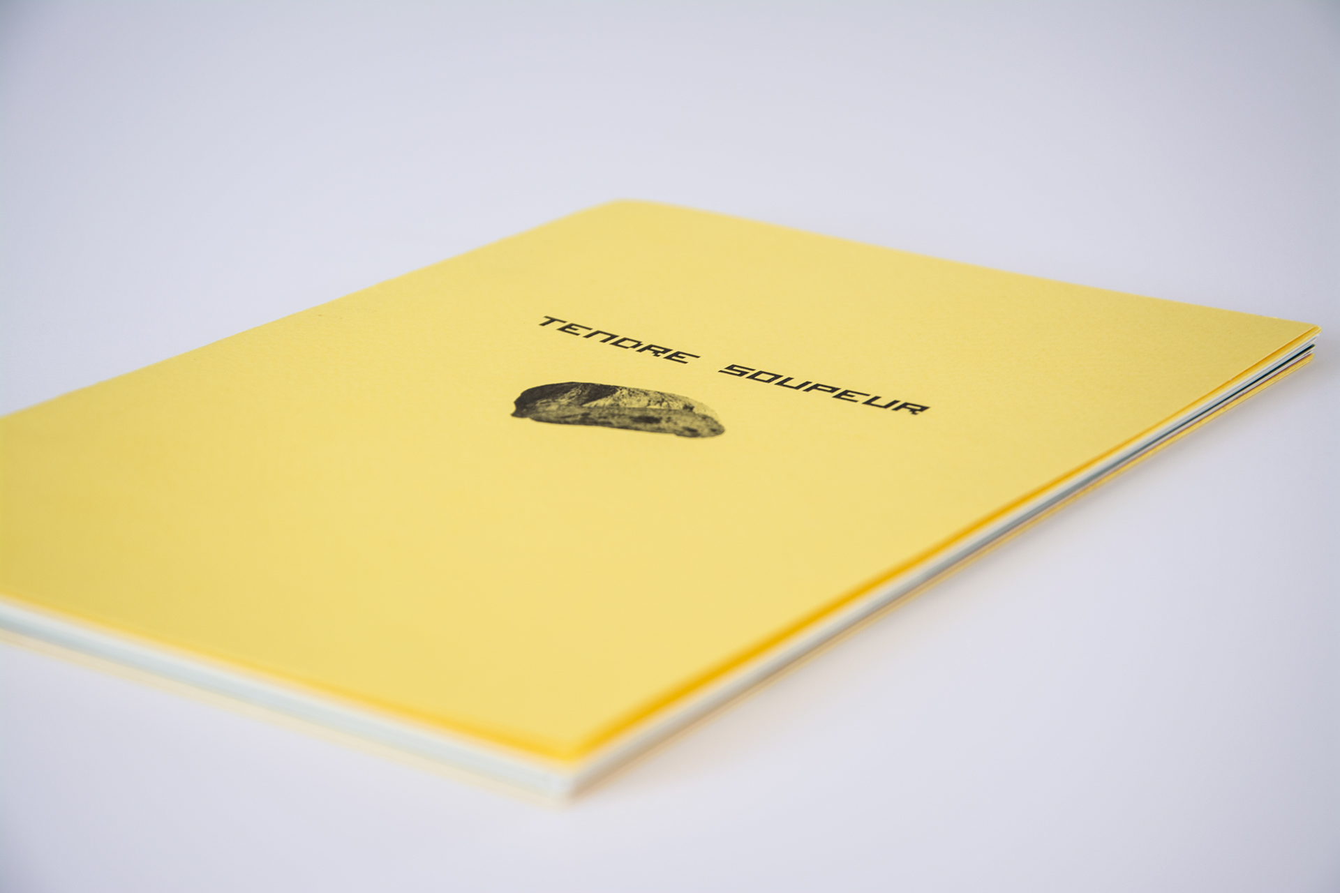 Léa Colombier - TENDRE SOUPEUR