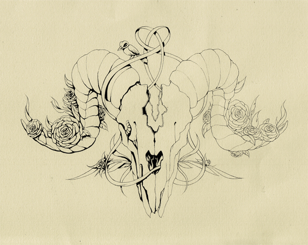 how to draw a skull in ink