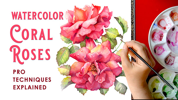 Anna Bucciarelli - CLASSES