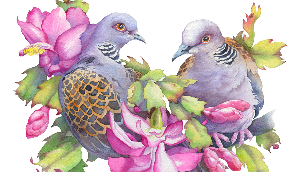 Anna Bucciarelli - CLASSES