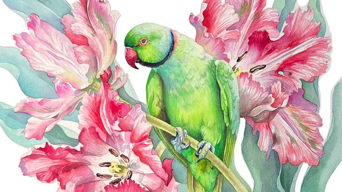 Anna Bucciarelli - CLASSES