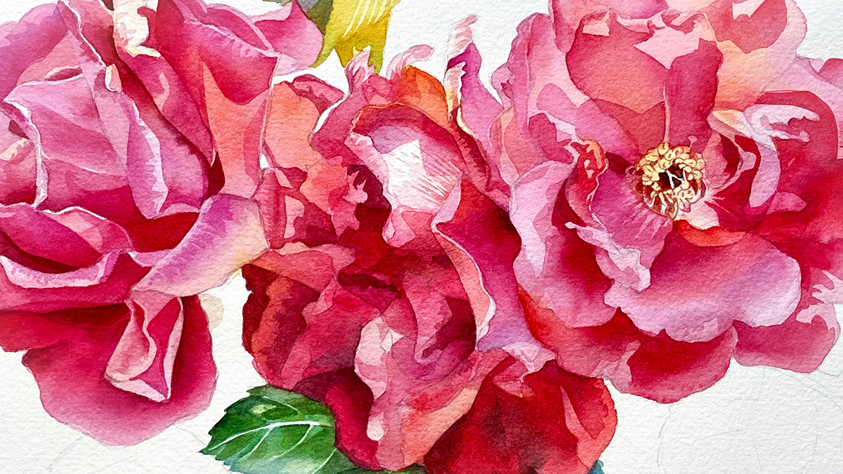 Anna Bucciarelli - CLASSES