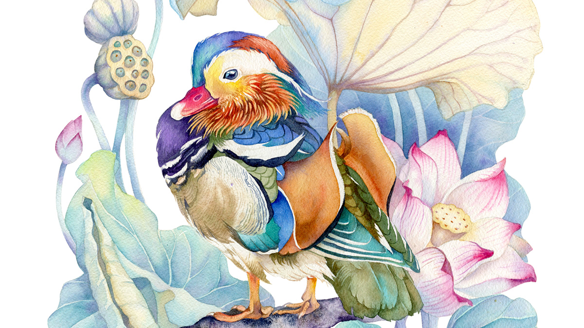 Anna Bucciarelli - CLASSES