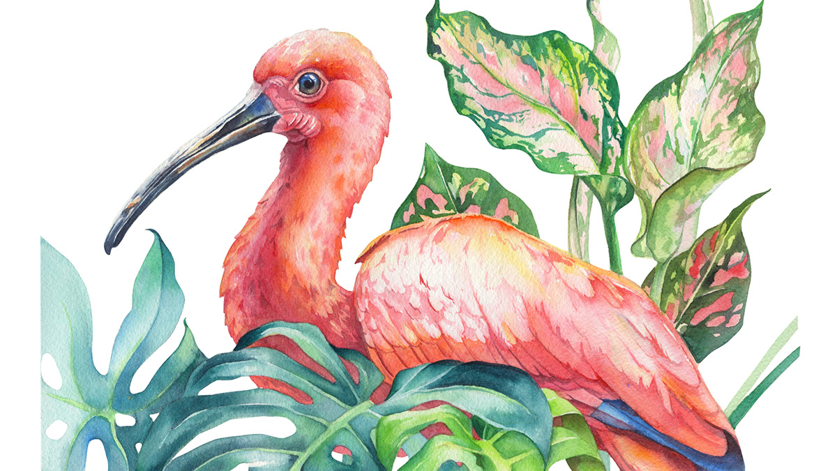 Anna Bucciarelli - CLASSES