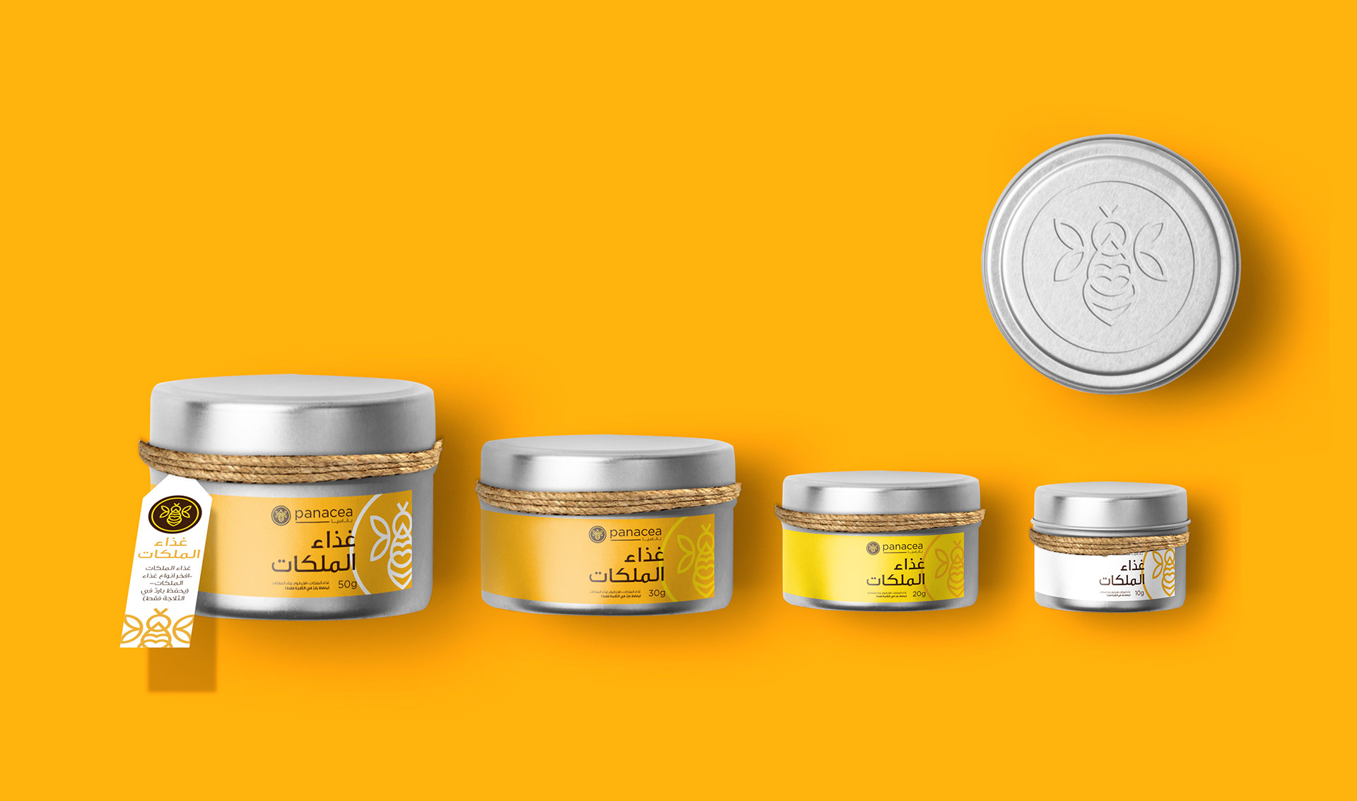 Zayd Abidi - Panacea (Logo & Identity)