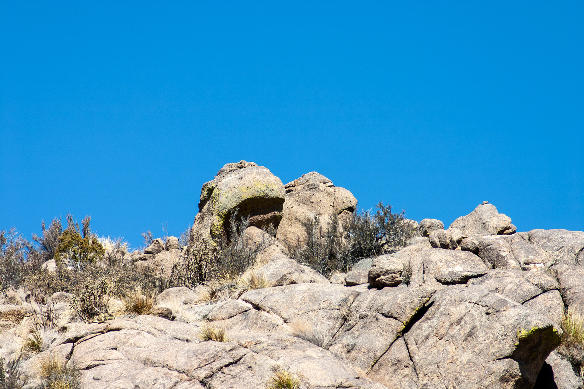 Leo Kitzinger - Blue Skies Boulder Scene