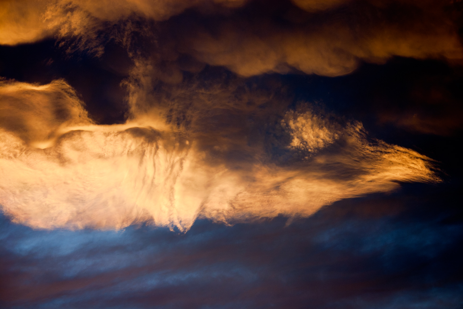 Leo Kitzinger - Phoenix