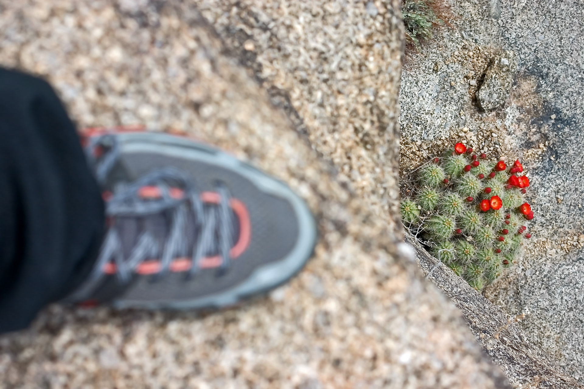 Leo Kitzinger - Contextual