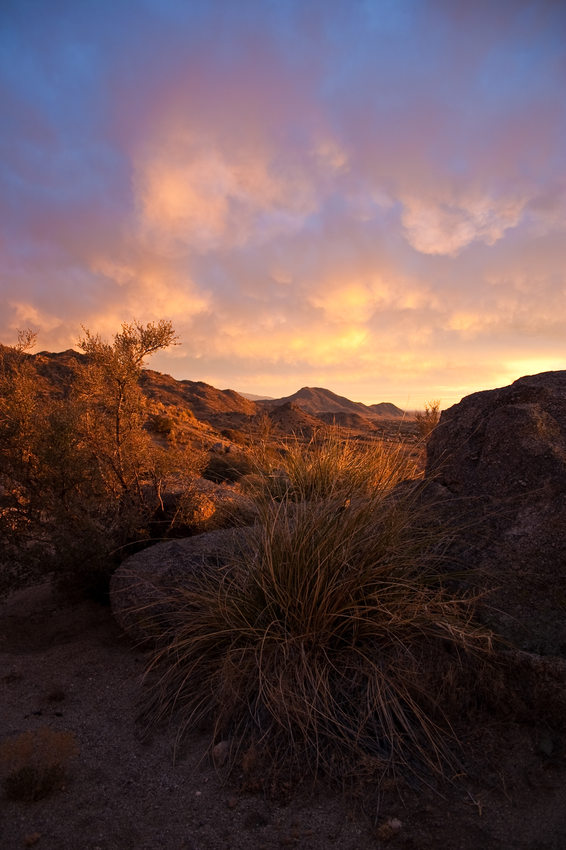 Leo Kitzinger - Sandia Sunset
