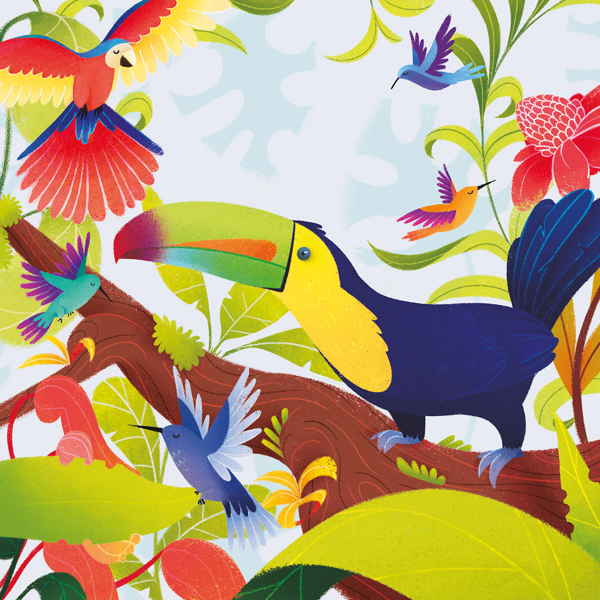 Giulia Lombardo Illustrations