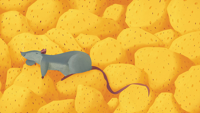 Giulia Lombardo Illustrations - Houses Through Time