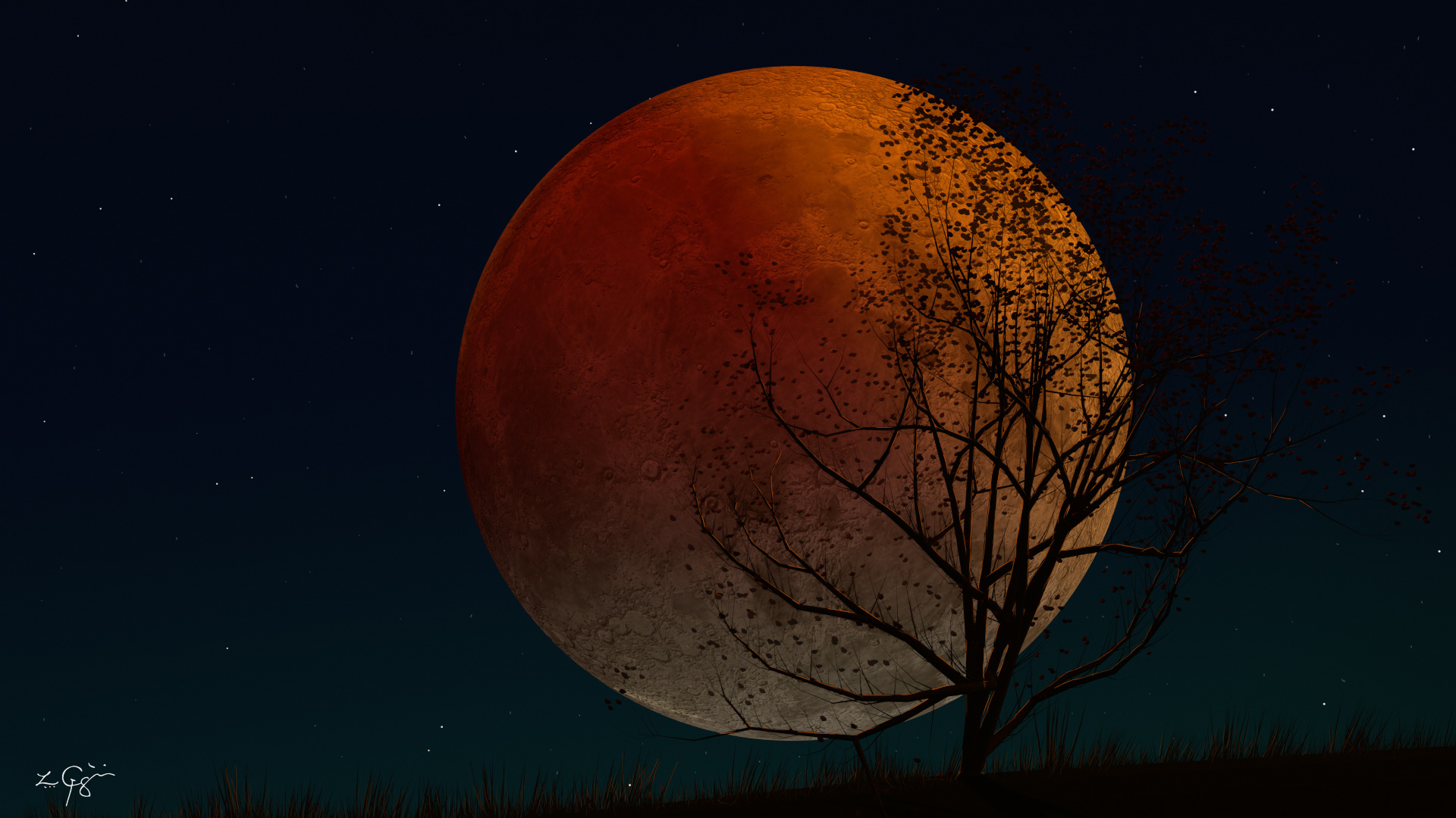 LE Nikkolai Quil - Illustrations