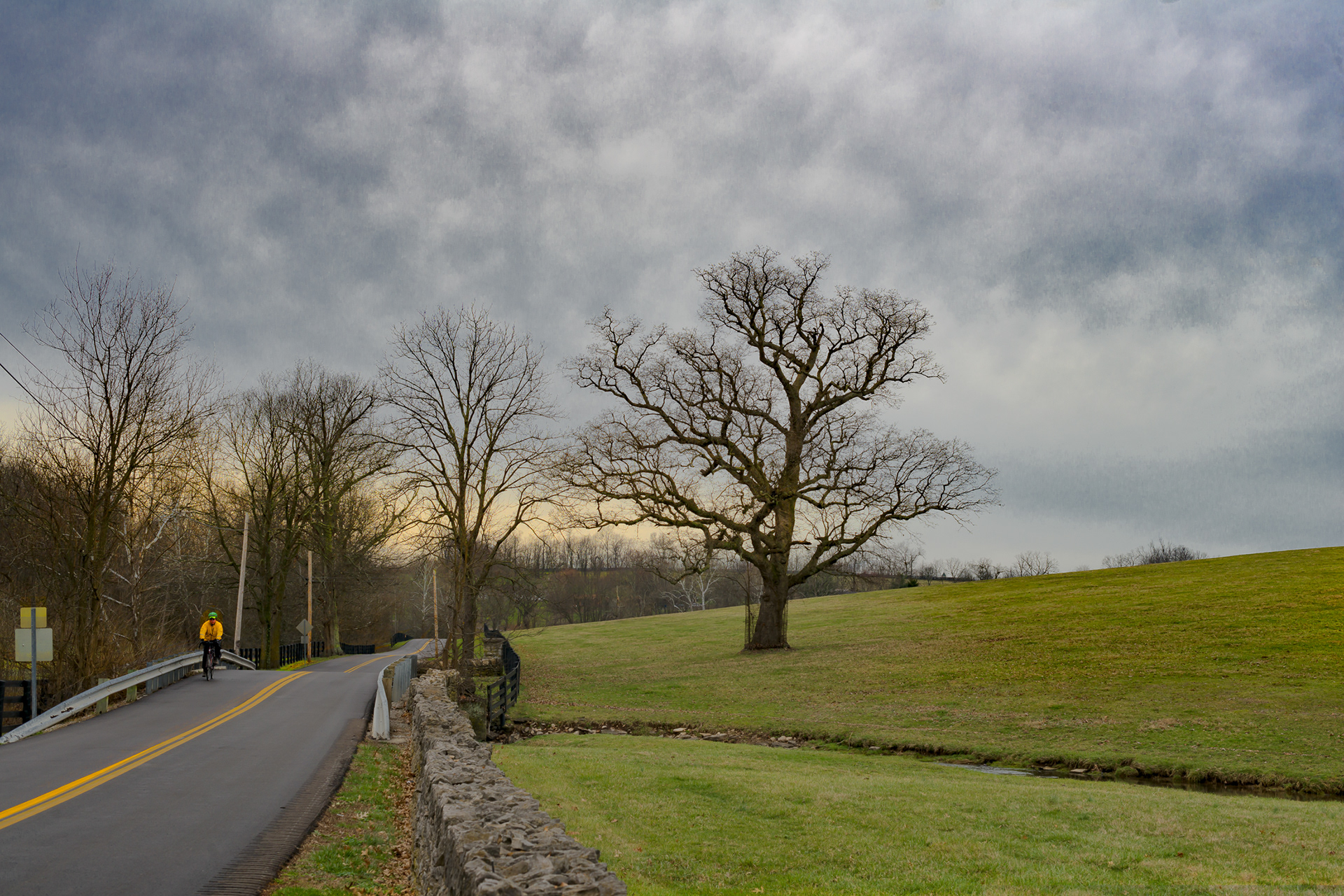 Tom Kimmerer Venerable Trees