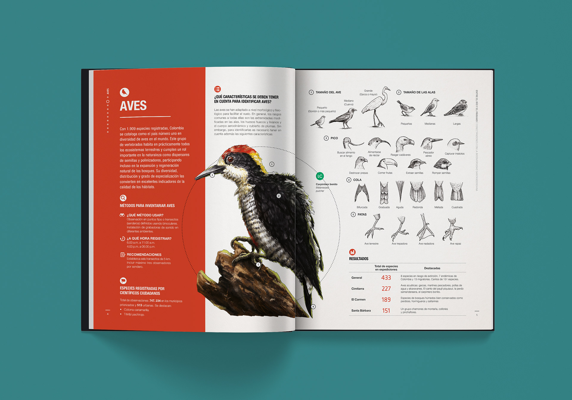 Diego Cobos - Santander Bio