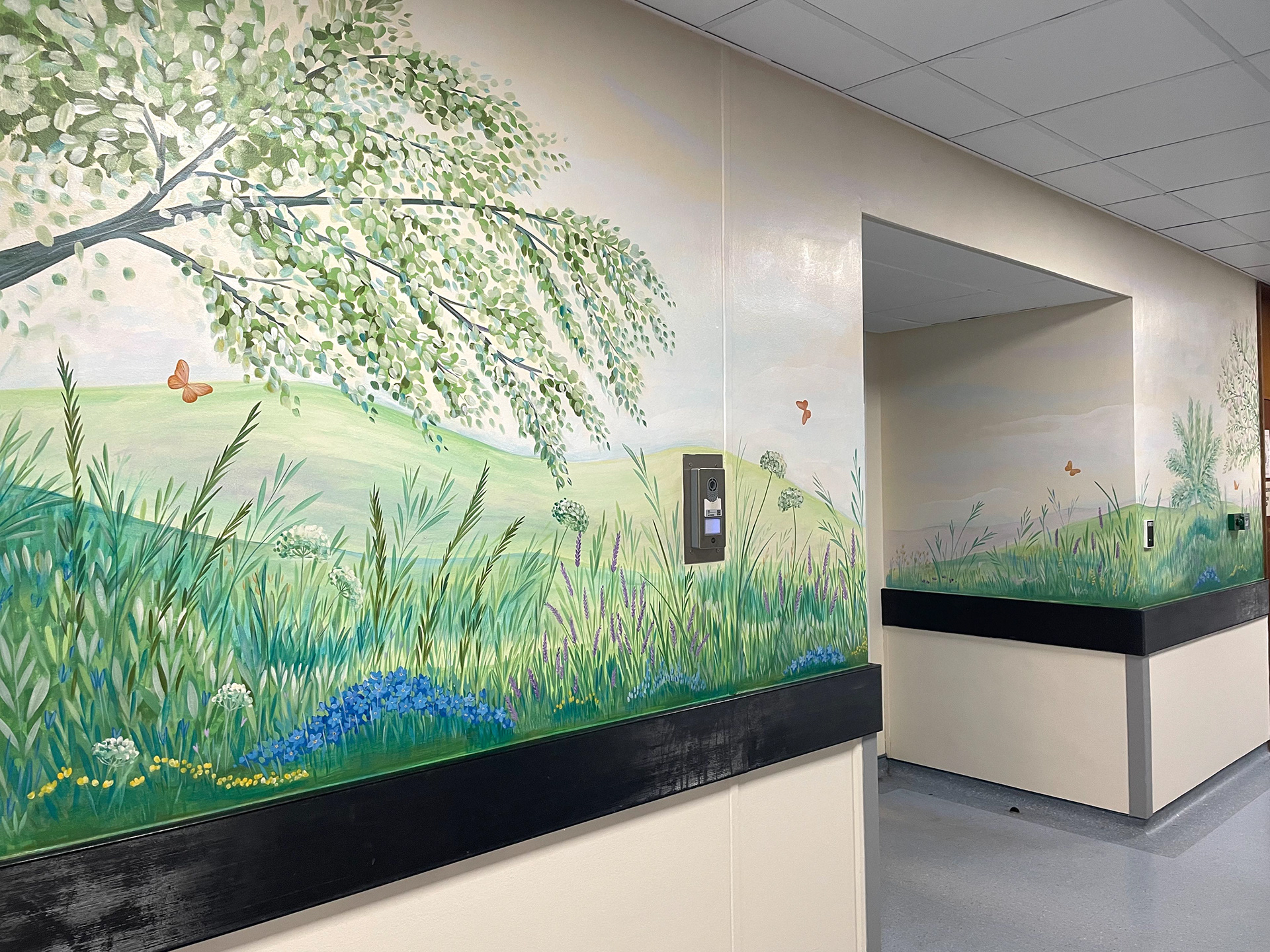 HD Art Creative Studio - Murals For Hospitals