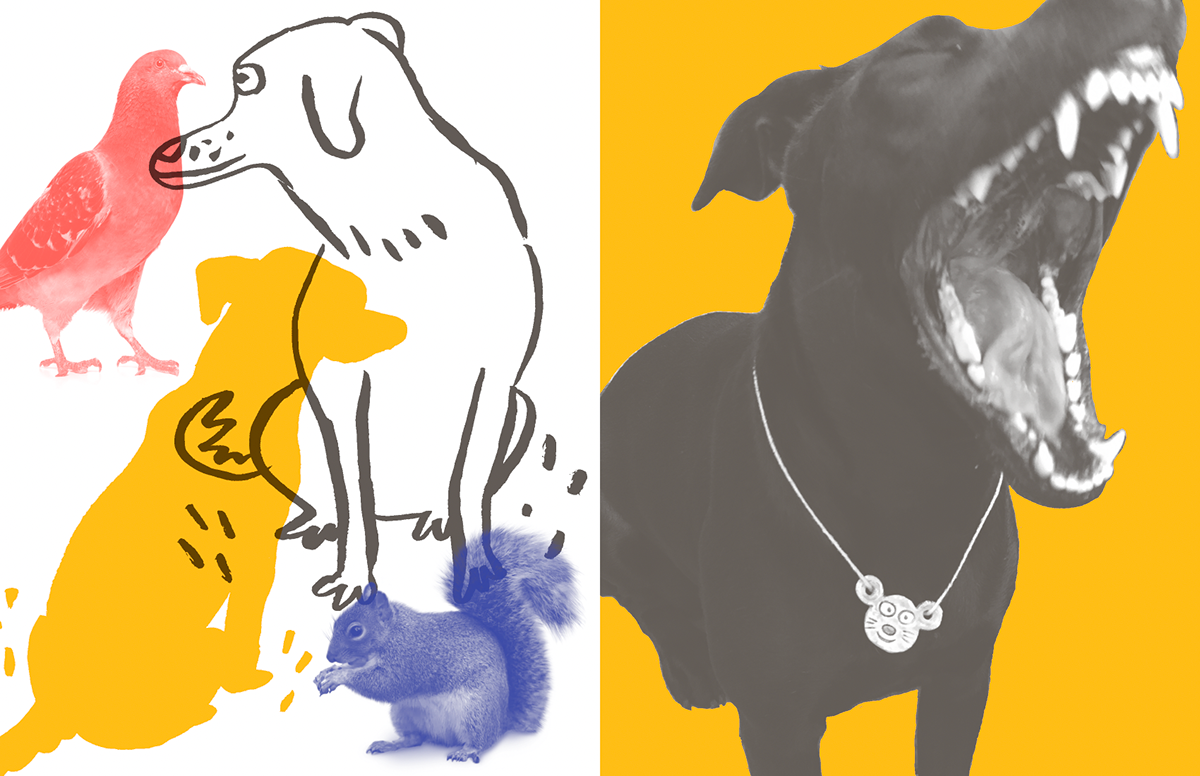 Sara Varon - 2018 Sweet Pea Riso 'zine