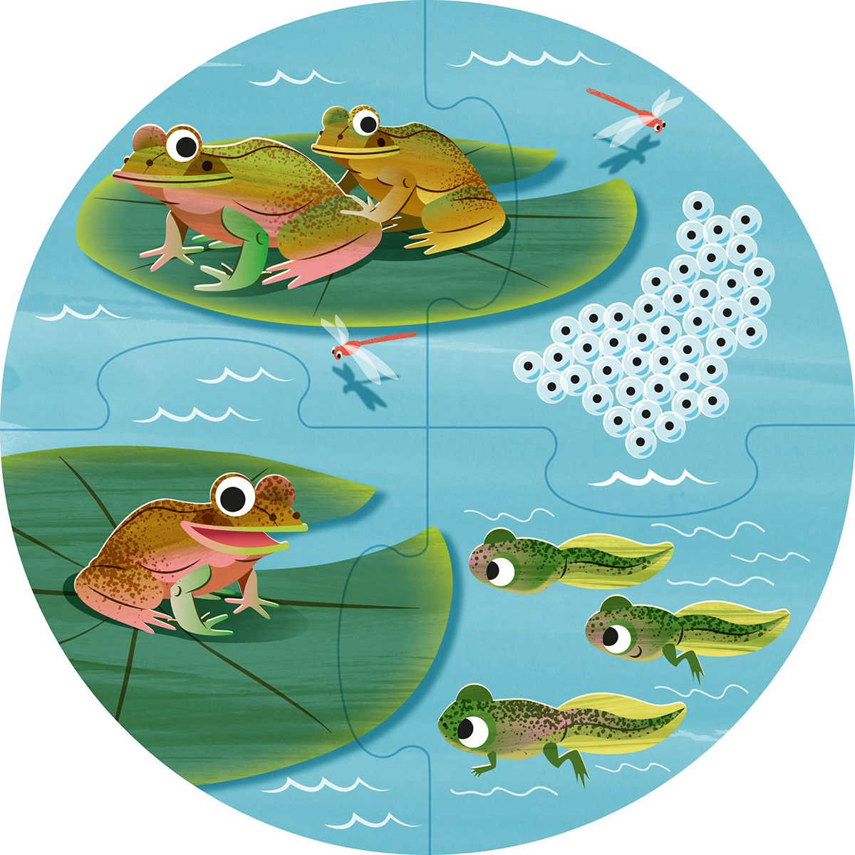 Mark Ruffle - Life cycle puzzle artwork