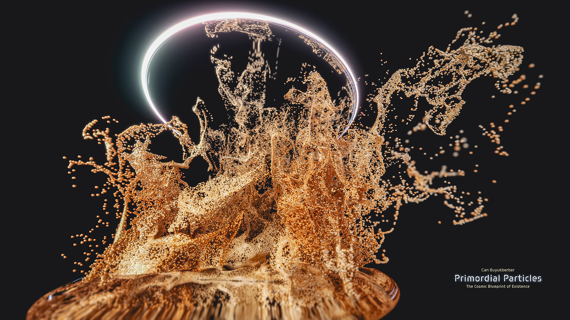 Can Büyükberber - Primordial Particles