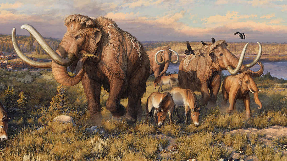 Beth Zaiken - Royal Alberta Museum | Ice Age Edmonton Mural