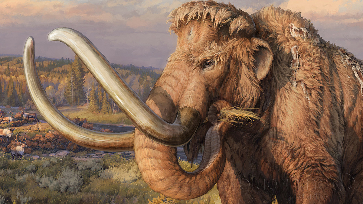 Beth Zaiken - Royal Alberta Museum | Ice Age Edmonton Mural