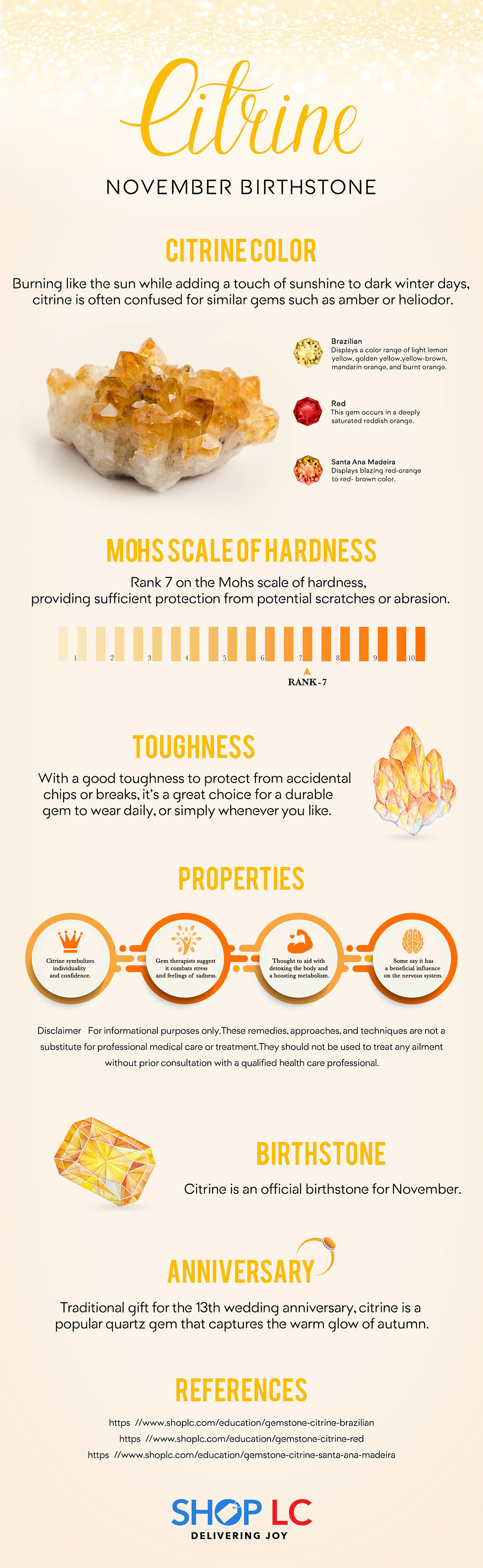 Vaibhav's Portfolio - Infographic