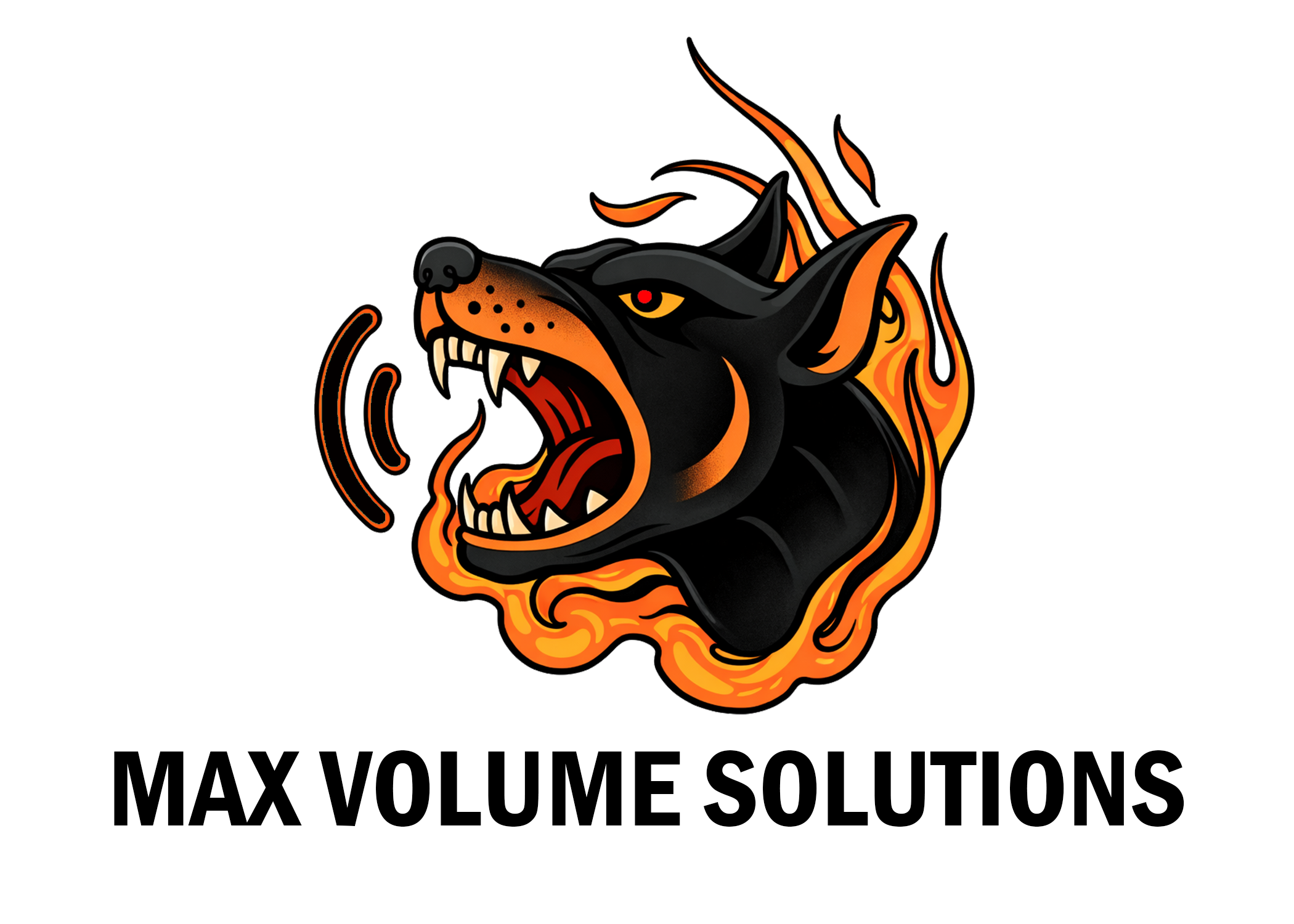 Max Volume Solutions LLC