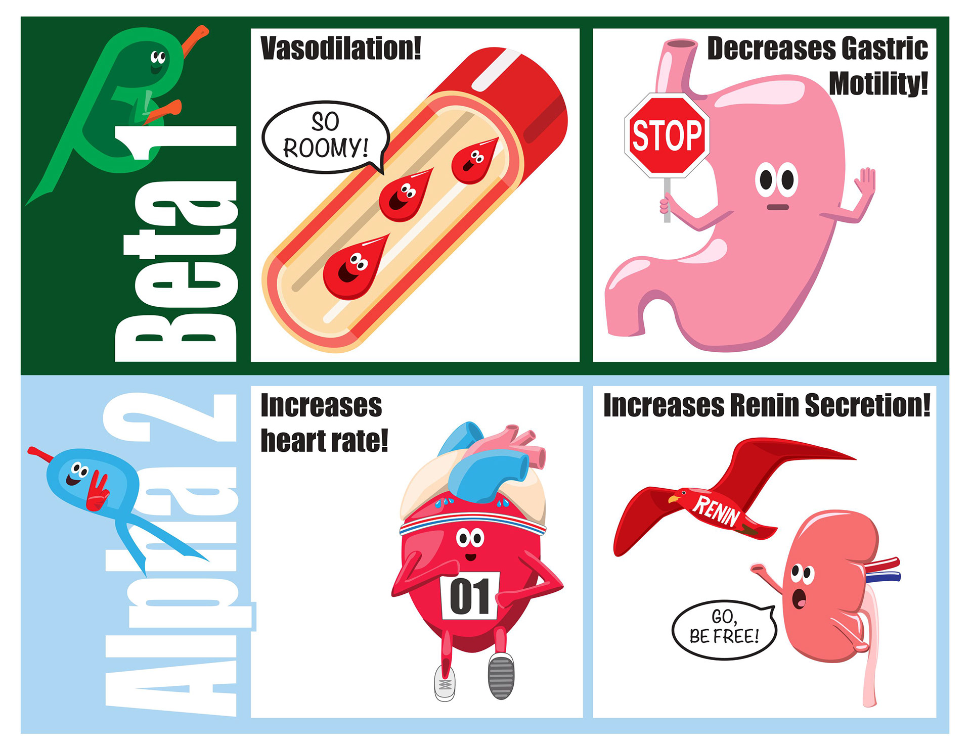 Tom Johnson - Alpha/Beta Medication Effects