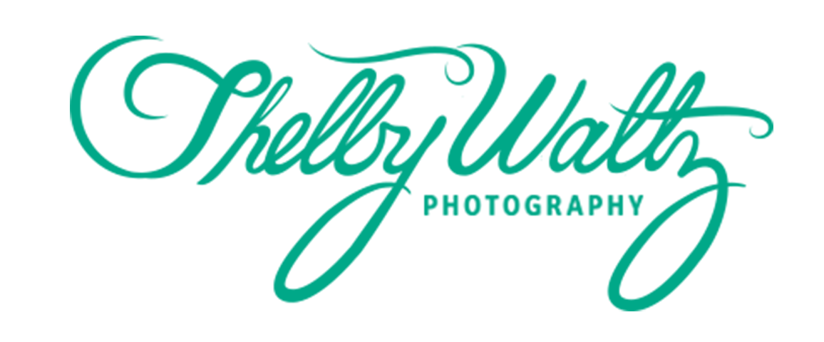 Shelby Waltz Photography