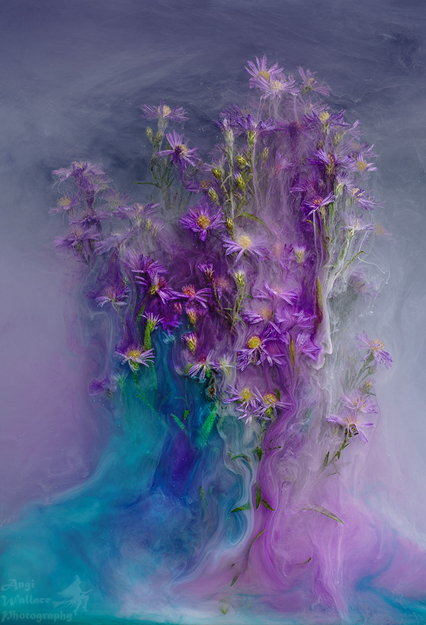 Angi Wallace - Submerged Flower photography