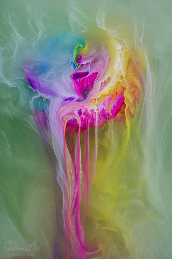 Angi Wallace - Submerged Flower photography