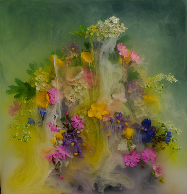 Angi Wallace - Submerged Flower photography