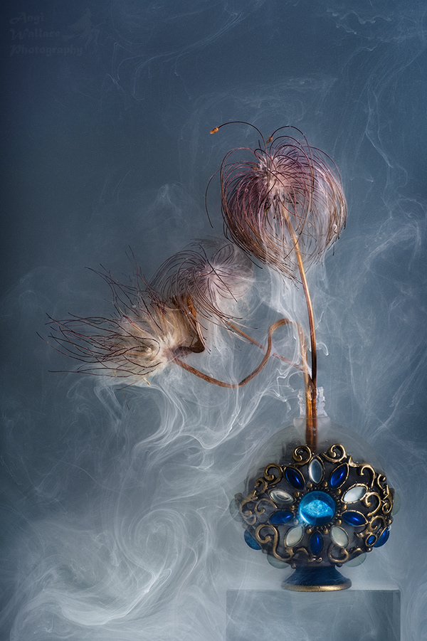 Angi Wallace - Submerged Flower photography