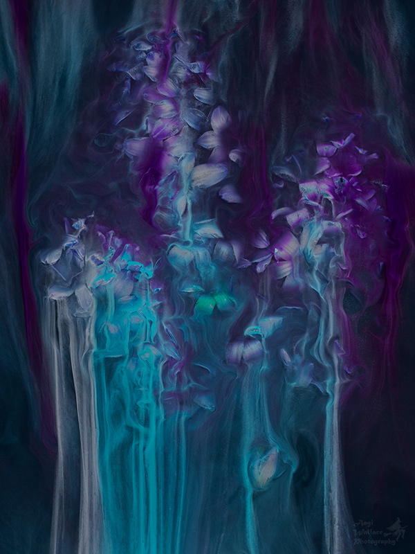 Angi Wallace - Submerged Flower photography