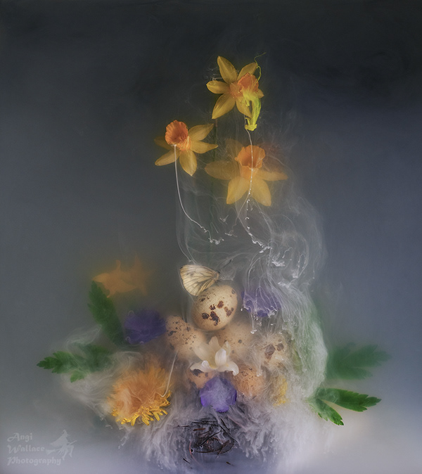Angi Wallace - Submerged Flower photography