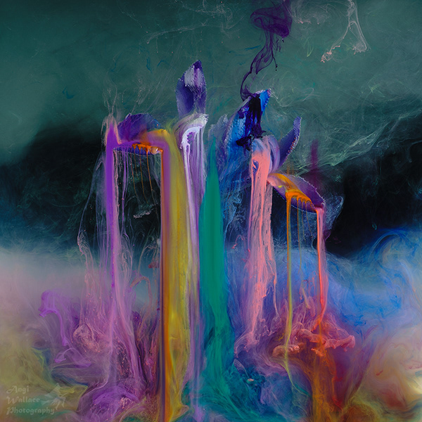 Angi Wallace - Submerged Flower photography