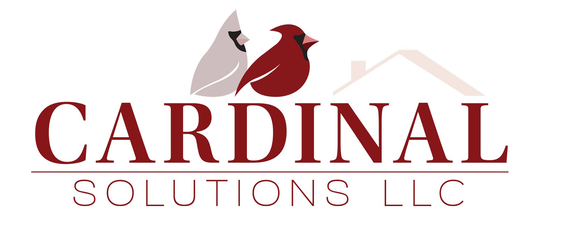 Daniel Pritchard - Cardinal Solutions