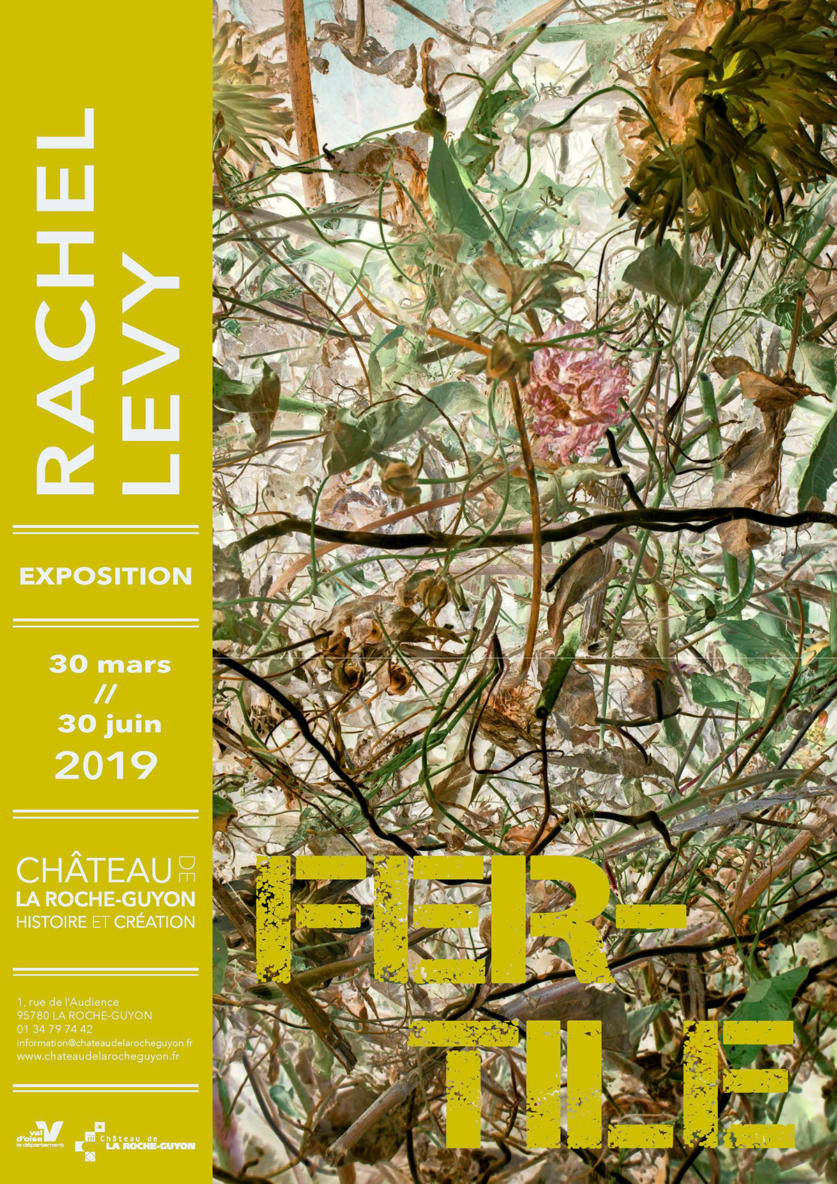 Rachel Levy - Fertile (2018)