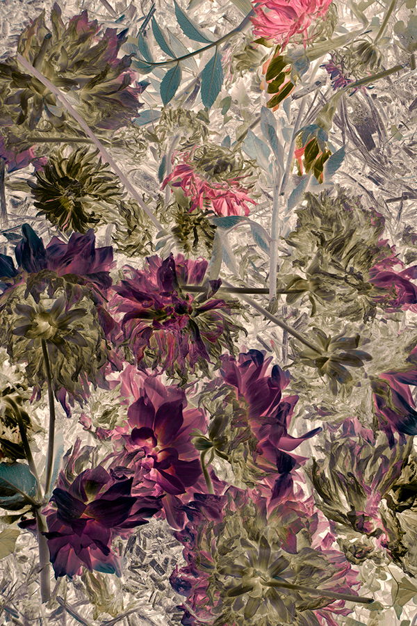 Rachel Levy - Fertile (2018)