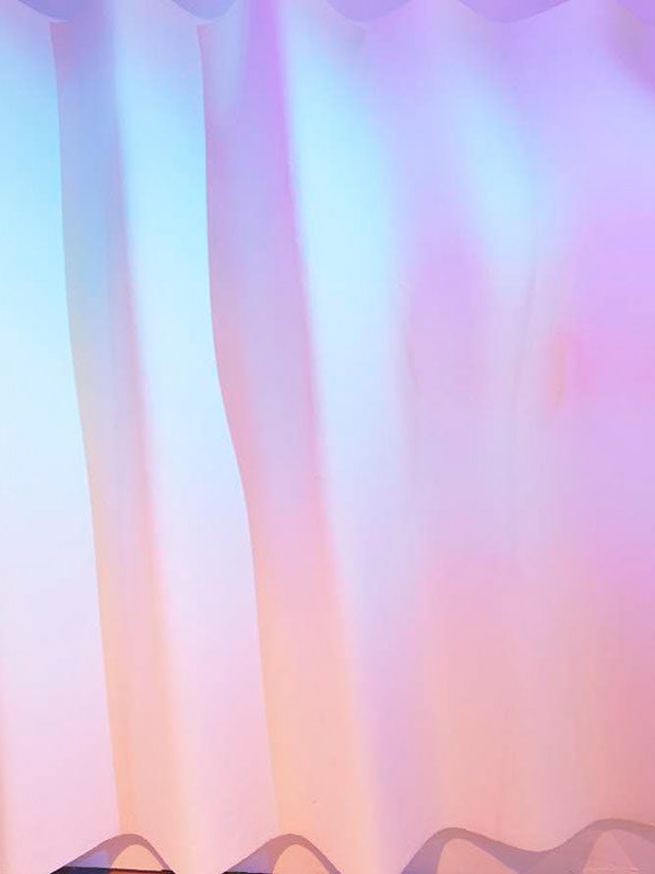 Catherine Richards Art - Valance
