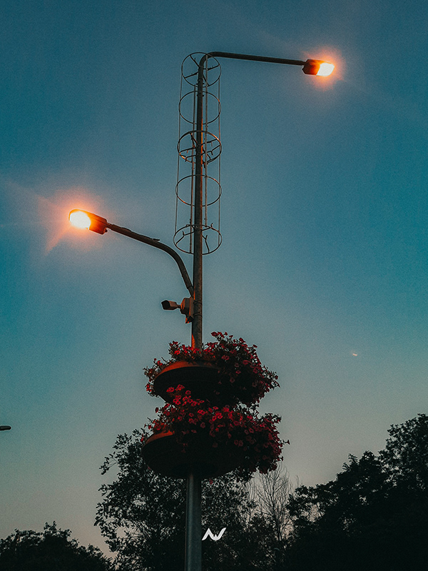 Alexwell Studios - Collection #1