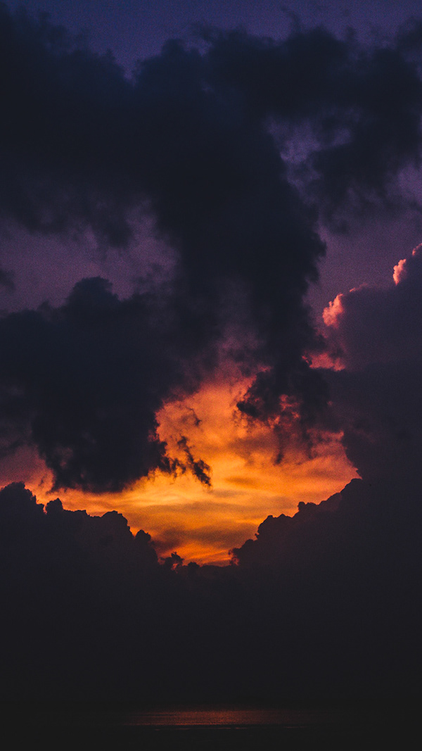 Alexwell Studios - Collection #2