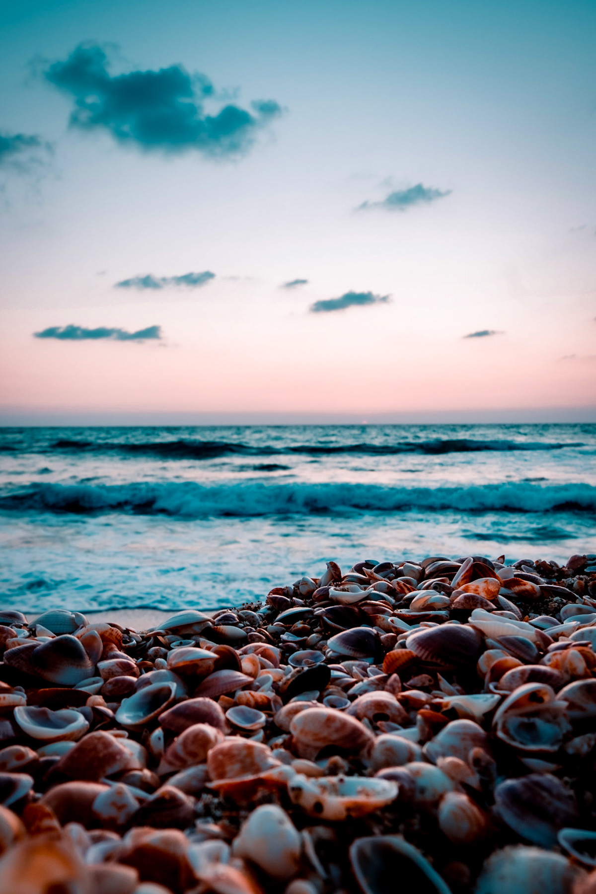 Alexwell Studios - Collection #2