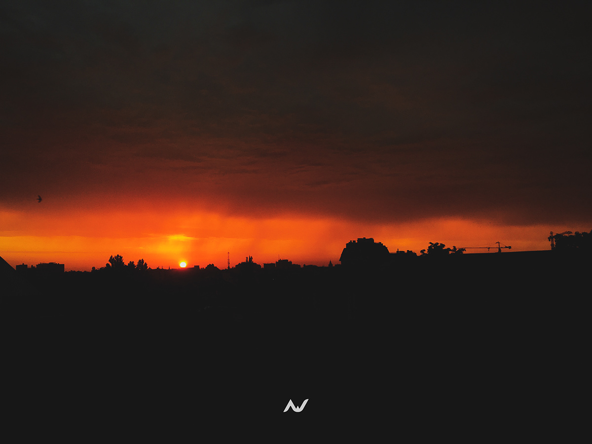 Alexwell Studios - Collection #1