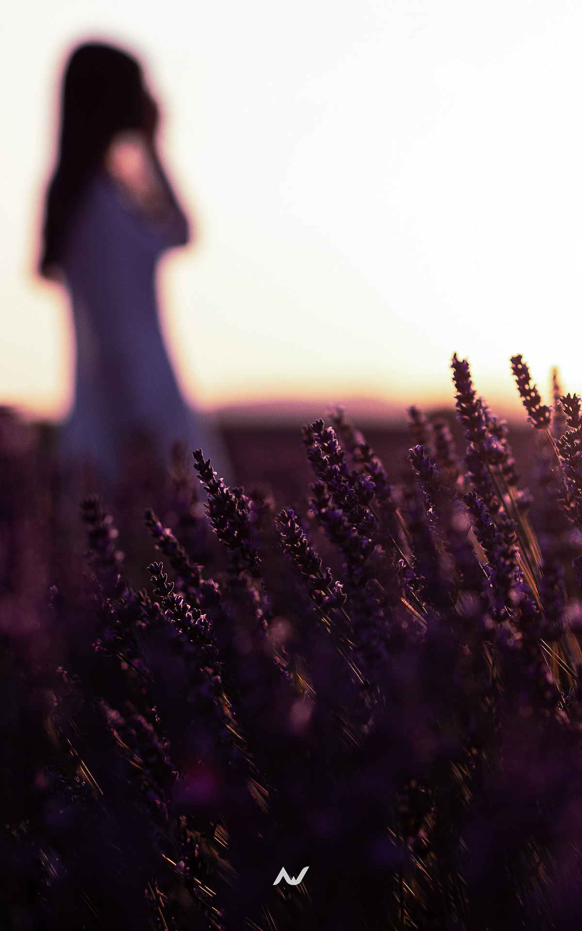 Alexwell Studios - Collection #1