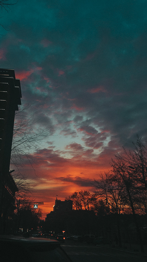 Alexwell Studios - Collection #2