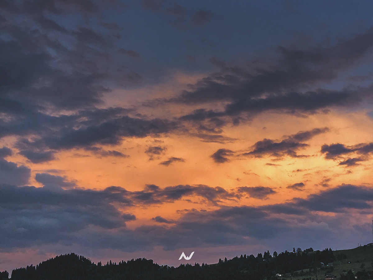 Alexwell Studios - Collection #1