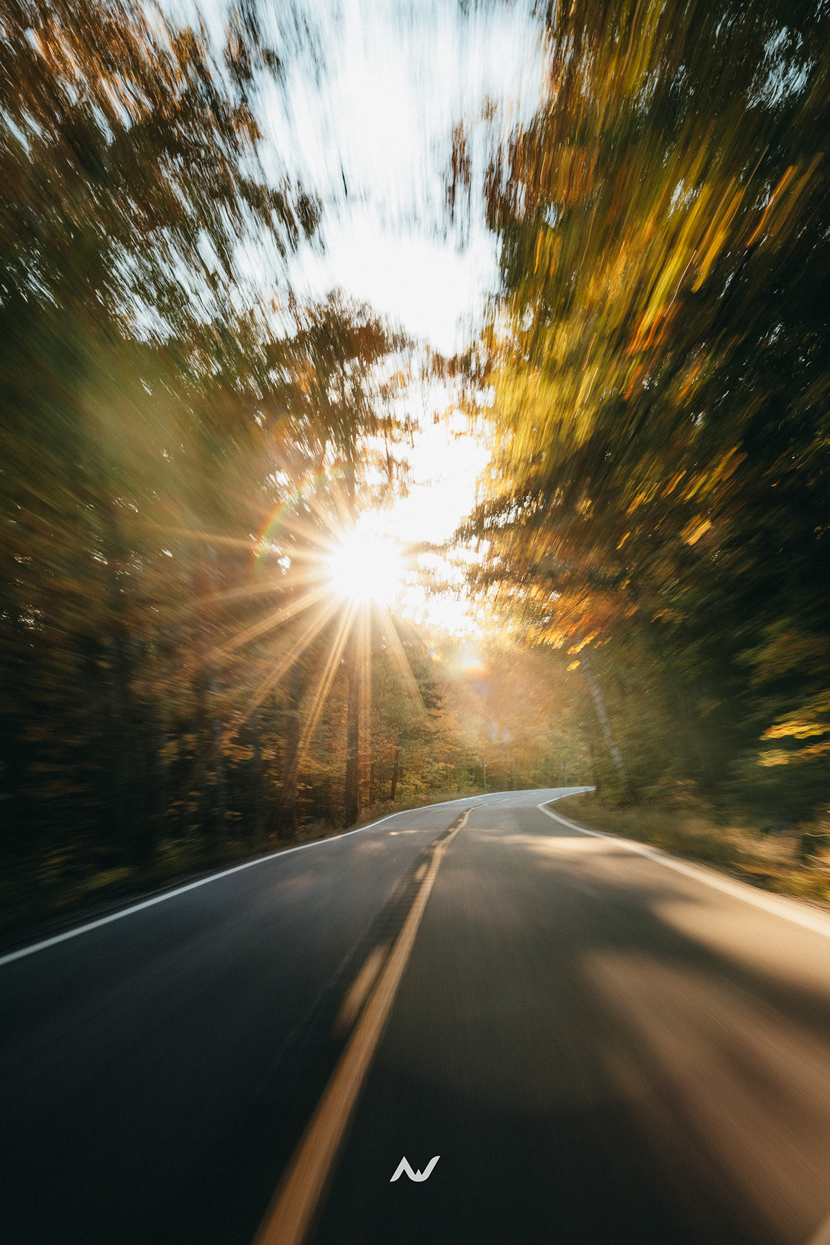 Alexwell Studios - Collection #1