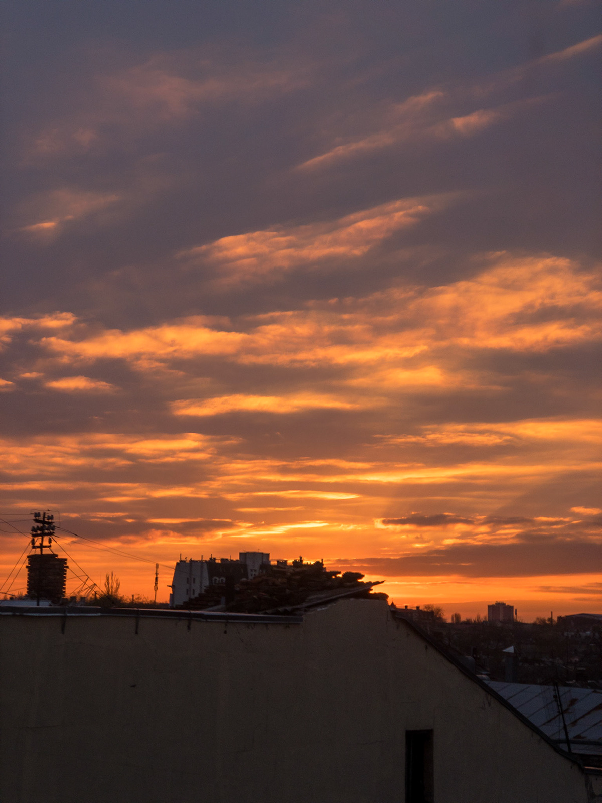 Alexwell Studios - Collection #2