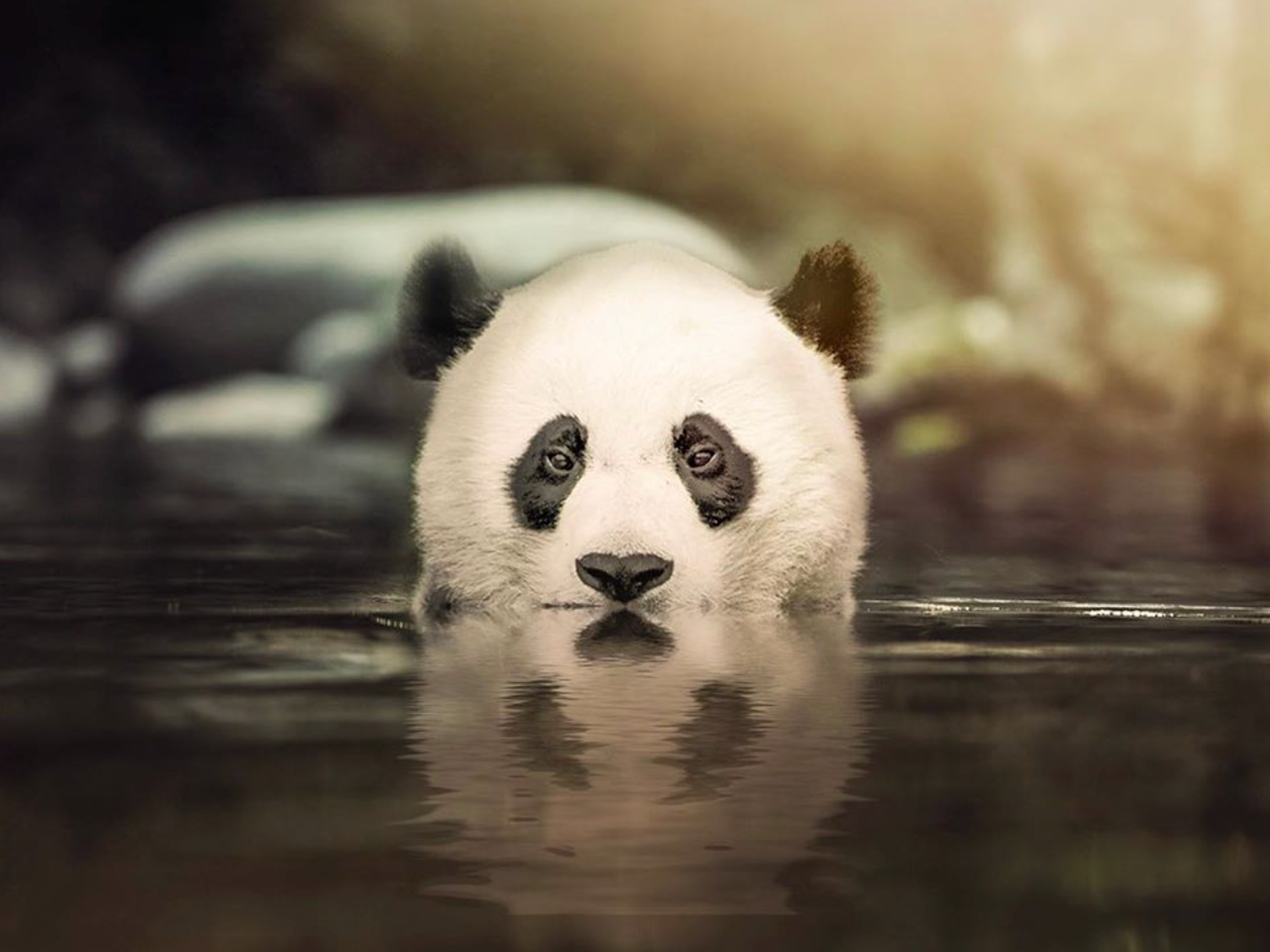 ᴍᴀʀɪɴᴏs_sᴛ - Marshmallow effect